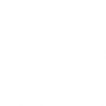 (10) Branco RAL 9010 – Iduna